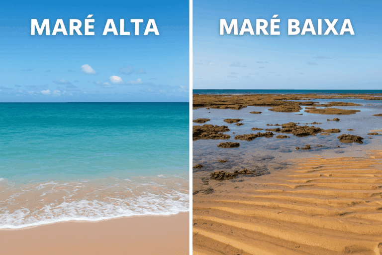 Tábua da maré: o que é e como funciona?